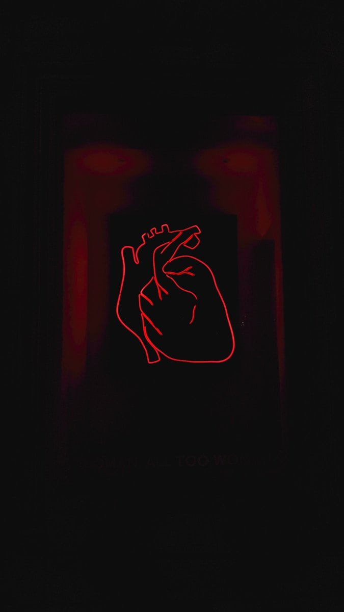 What does the Bible say about the heart?